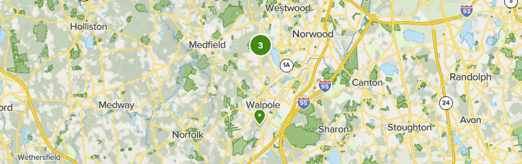 Best Forest Trails in Walpole | AllTrails