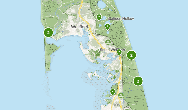 Best Beach Trails near Wellfleet, Massachusetts | AllTrails