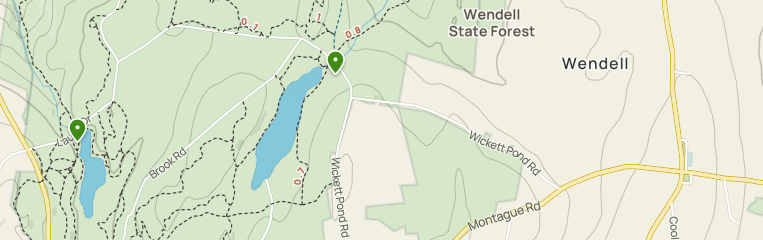 Best Kid Friendly Trails in Wendell | AllTrails