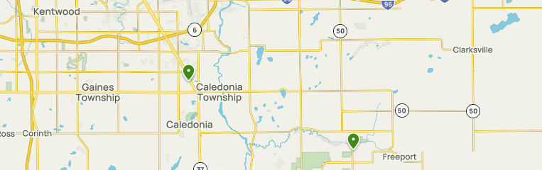 Best Forest Trails in Alto | AllTrails