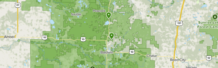 Best Off Road Driving Trails in Baldwin | AllTrails
