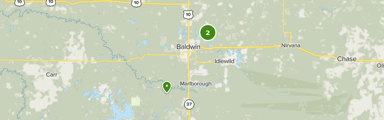 Best Walking Trails in Baldwin | AllTrails