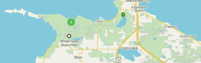 Best Bird Watching Trails in Carp Lake | AllTrails