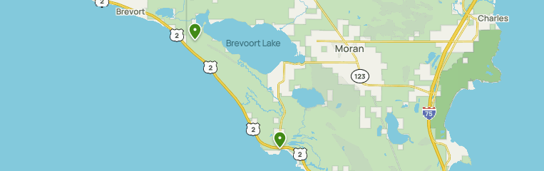 Best Forest Trails in Moran | AllTrails