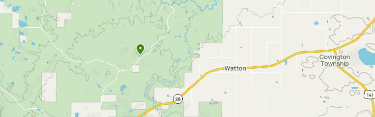 Best Forest Trails in Watton | AllTrails