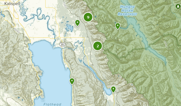 Best Forest Trails near Bigfork, Montana | AllTrails