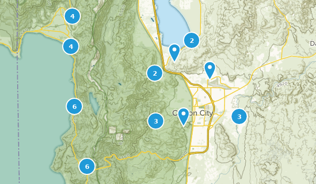 Best Wild Flowers Trails near Carson City, Nevada | AllTrails