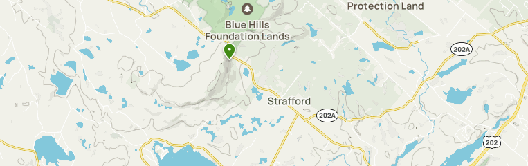 2023 Best Forest Trails in Center Strafford | AllTrails