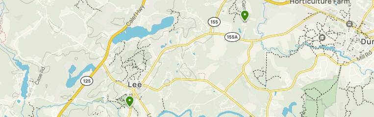 Best Dog Friendly Trails in Lee | AllTrails