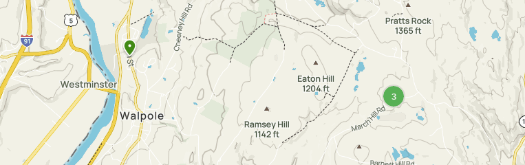 2023 Best Forest Trails in Walpole | AllTrails