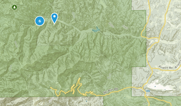 Best Forest Trails near Alto, New Mexico | AllTrails