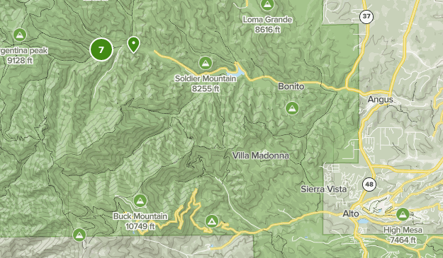 Best Forest Trails near Alto, New Mexico | AllTrails