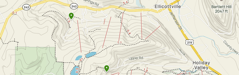 2023 Best Forest Trails in Ellicottville | AllTrails