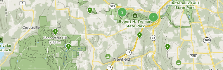 10 Best Forest Trails in Newfield | AllTrails