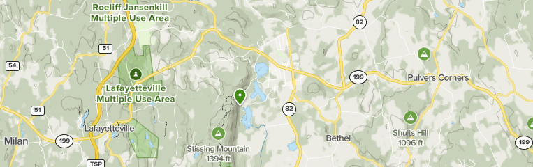 Best Forest Trails in Pine Plains | AllTrails