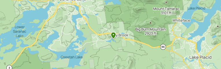 Best Dog Friendly Trails in Ray Brook | AllTrails