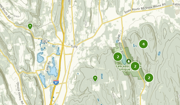 Best Forest Trails near Tully, New York | AllTrails