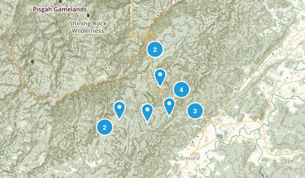 Best Mountain Biking Trails near Brevard, North Carolina | AllTrails