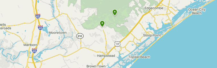 Best Walking Trails in Hampstead | AllTrails