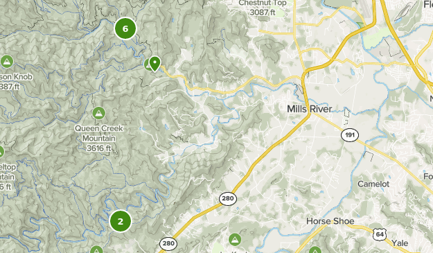 Best Forest Trails near Mills River, North Carolina | AllTrails