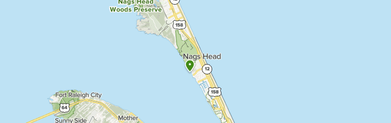Best Bird Watching Trails in Nags Head | AllTrails