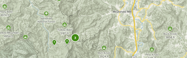 10 Best Forest Trails in Otto | AllTrails