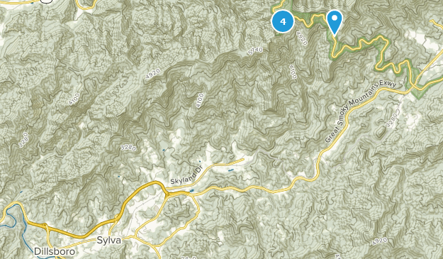 Best Forest Trails near Sylva, North Carolina | AllTrails