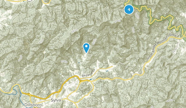 Best Walking Trails near Sylva, North Carolina | AllTrails