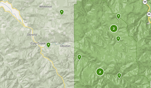 Best Forest Trails near Dorena, Oregon | AllTrails