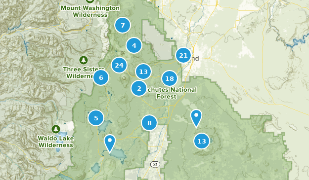 Best Forest Trails near La Pine, Oregon | AllTrails