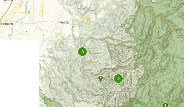 Best Forest Trails near Molalla, Oregon | AllTrails