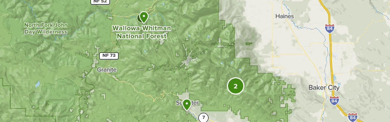 2023 Best Wild Flowers Trails in Sumpter | AllTrails