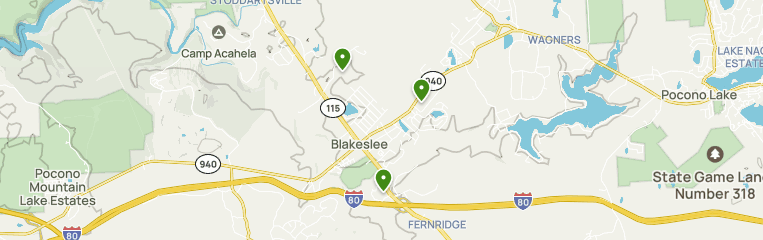 Best Wild Flowers Trails in Blakeslee | AllTrails