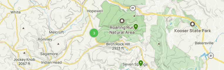 Best Forest Trails in Champion | AllTrails