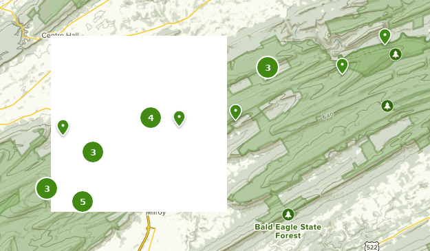 Best Forest Trails near Milroy, Pennsylvania | AllTrails