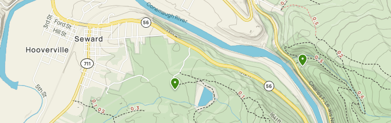 Best Forest Trails in Seward | AllTrails