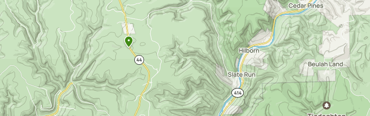 Best Bird Watching Trails in Slate Run | AllTrails