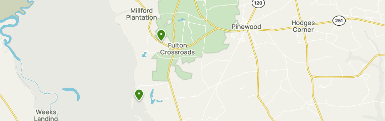 2023 Best Wildlife Trails in Pinewood | AllTrails