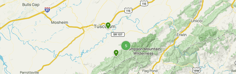 Best Forest Trails in Afton | AllTrails