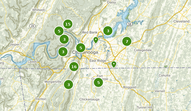 Best Forest Trails near Chattanooga, Tennessee | AllTrails