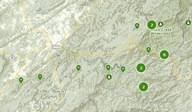 Best Forest Trails near Tellico Plains, Tennessee | AllTrails