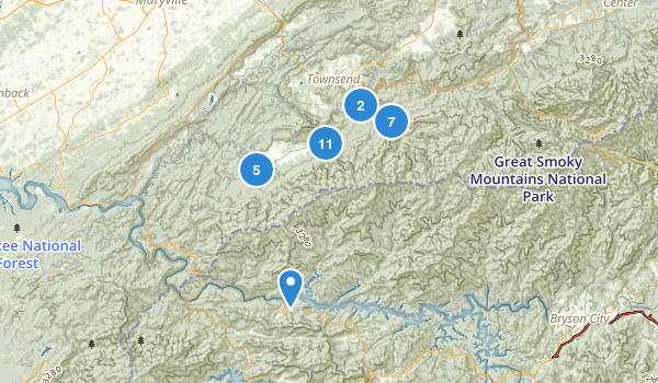 Best Forest Trails near Townsend, Tennessee | AllTrails.com