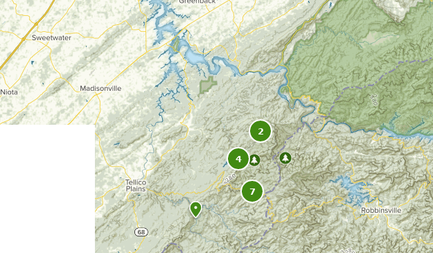 Best Forest Trails near Vonore, Tennessee | AllTrails