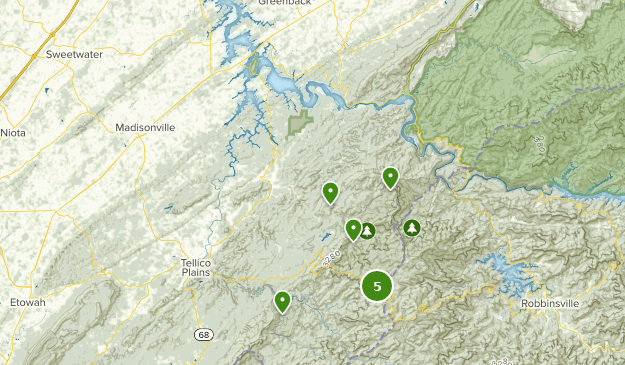 Best Walking Trails near Vonore, Tennessee | AllTrails
