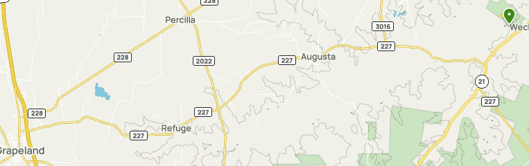 Best Forest Trails in Grapeland | AllTrails