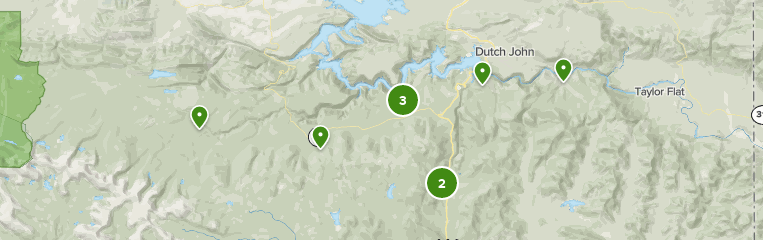 Best Forest Trails in Dutch John | AllTrails