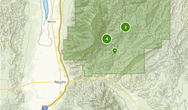 Best Forest Trails near Nephi, Utah | AllTrails