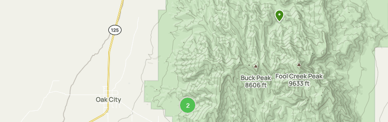 2023 Best Forest Trails in Oak City | AllTrails