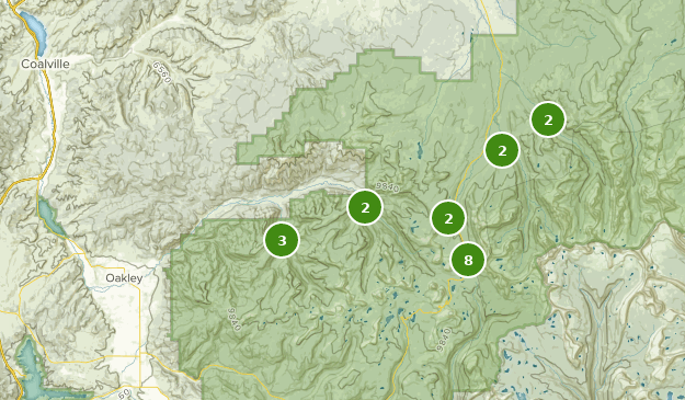 Best Walking Trails near Oakley, Utah | AllTrails