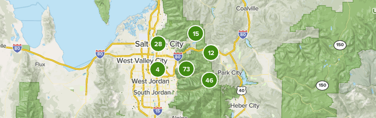 Best wild flowers trails in Salt Lake City, Utah | AllTrails